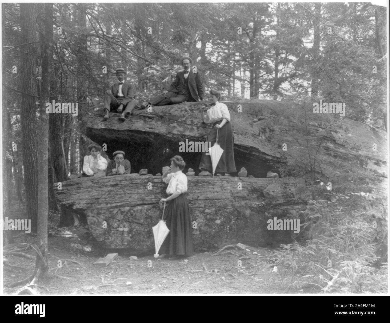 Alligator rock formation hi-res stock photography and images - Alamy