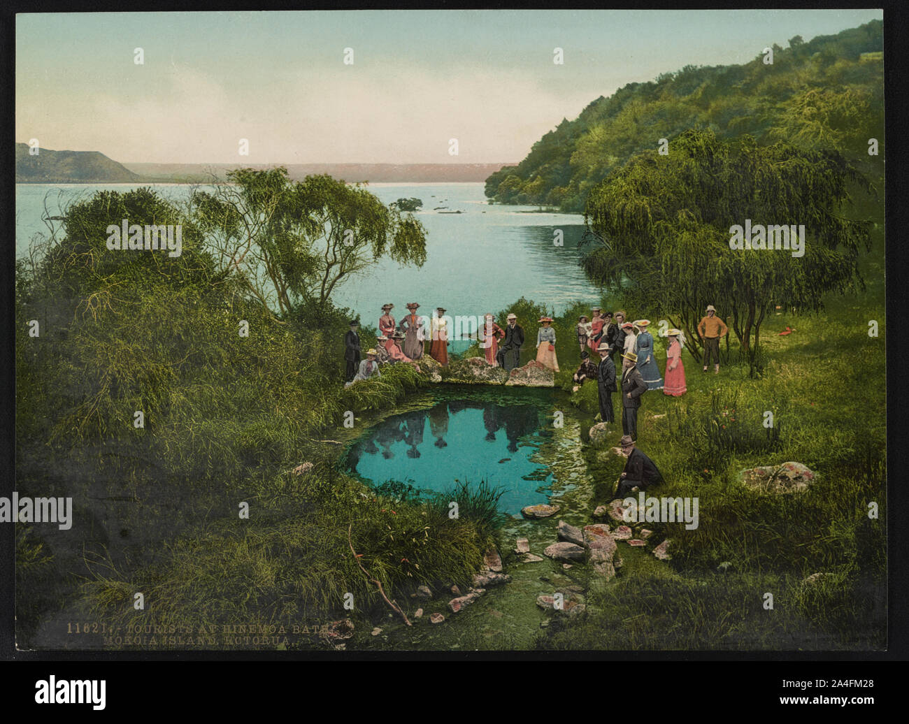 Rotorua mokoia island hi-res stock photography and images - Alamy