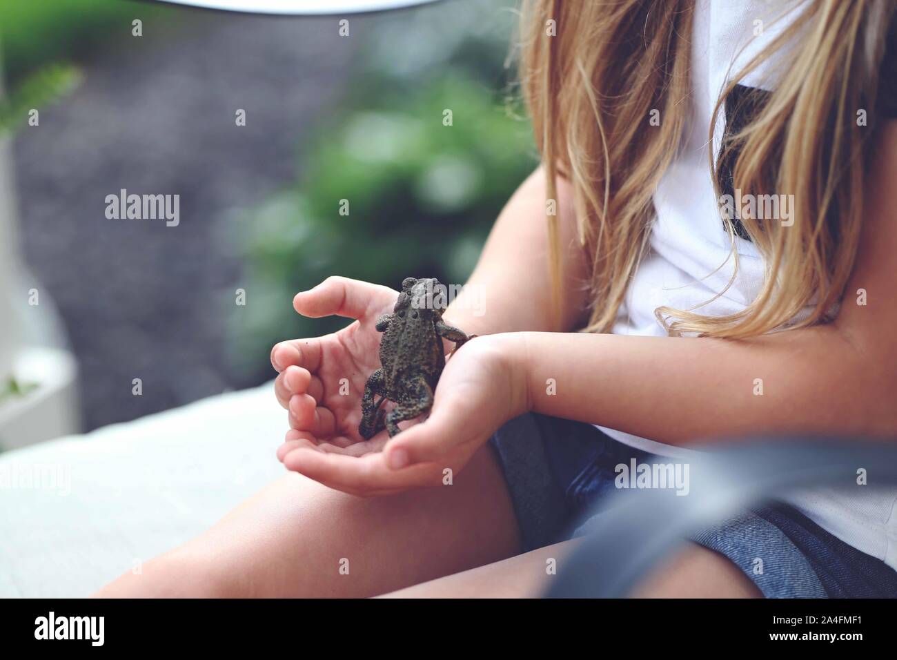 Girl with frog hi-res stock photography and images - Alamy