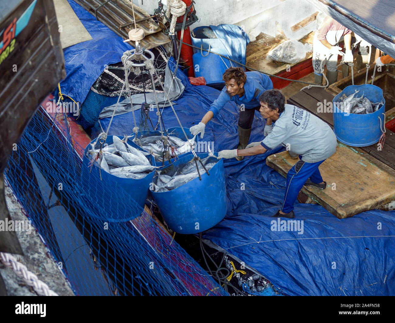 Frozen fish and fishermen Stock Photo - Alamy