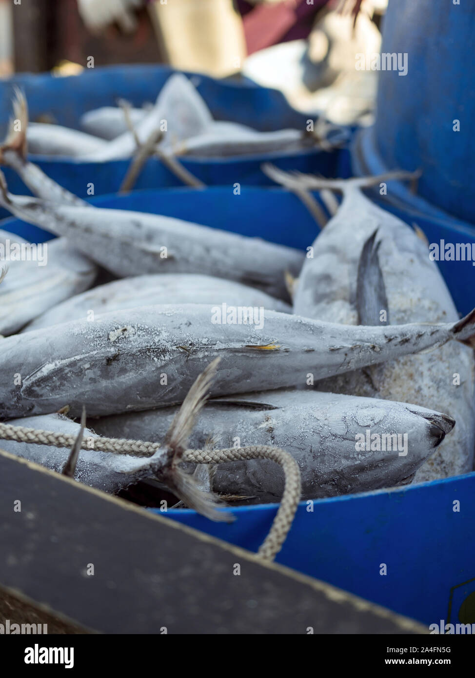 Close up of frozen rope hi-res stock photography and images - Alamy
