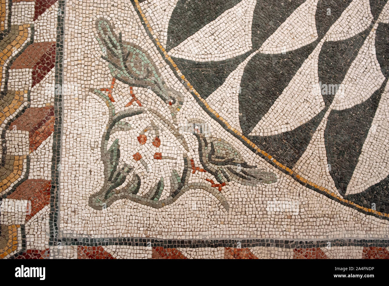 Ancient roman mosaic plants hi-res stock photography and images - Alamy