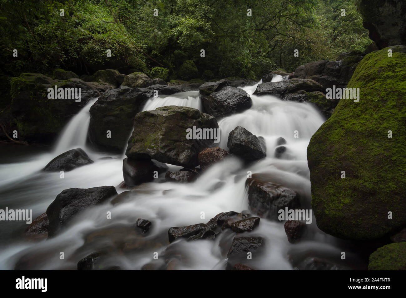 Koyna dam hi-res stock photography and images - Alamy