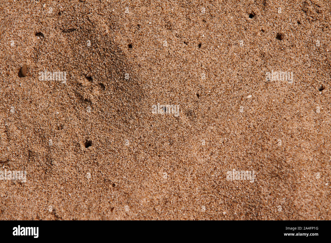 Mediterranenan Sand Texture 2 Stock Photo - Alamy