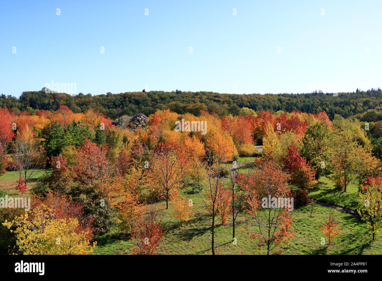 Autumn leaves with blue sky background Stock Photo - Alamy
