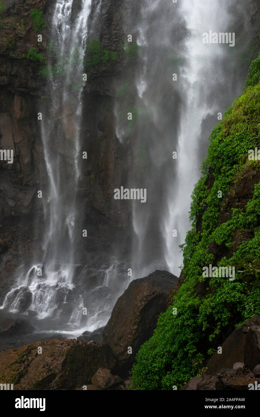 Famous Ozarde waterfall near Koynanagar,Maharashtra,India Stock Photo ...