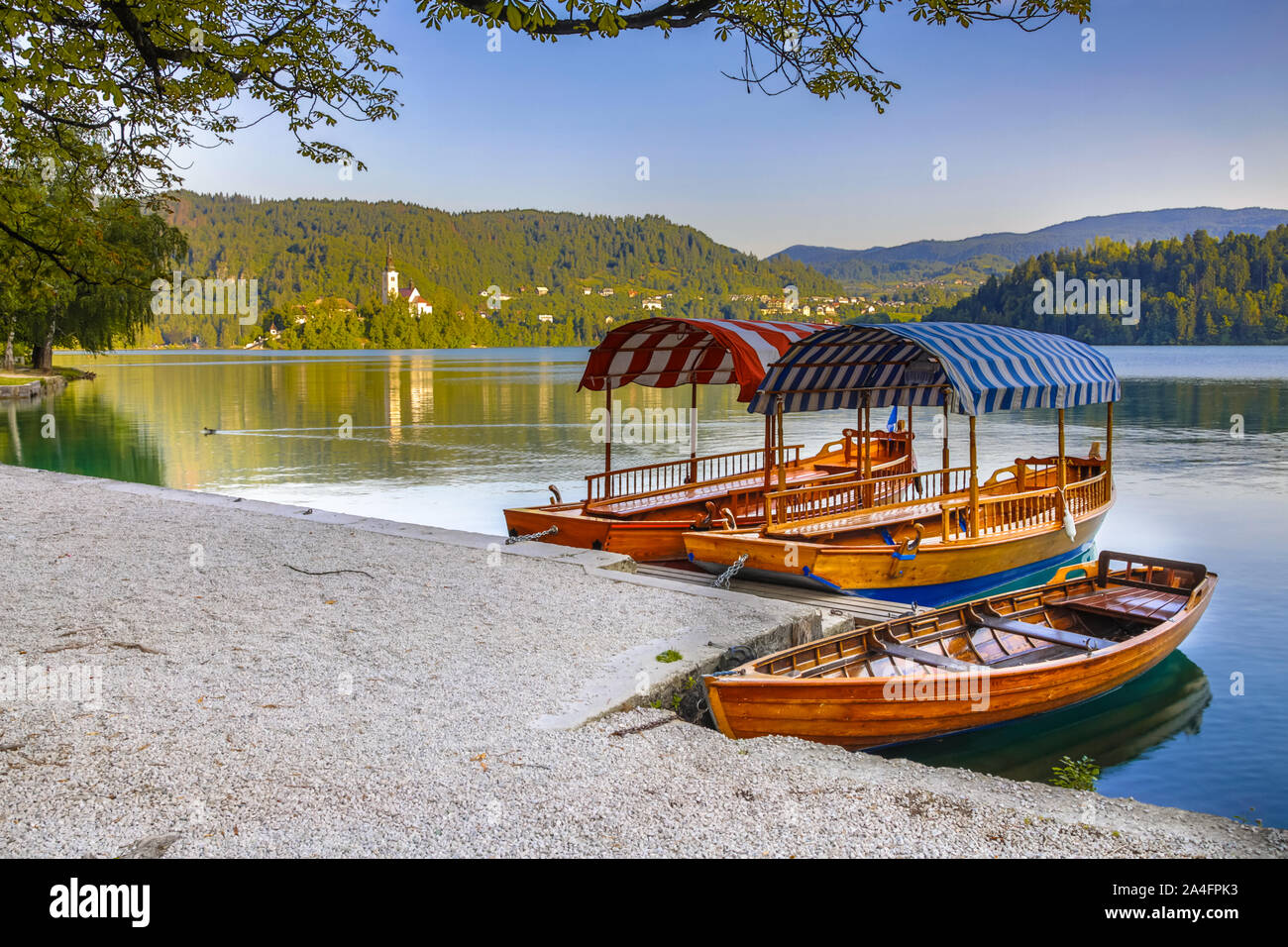 Traditional Pletna boats on beautiful lake Bled. In the background is ...