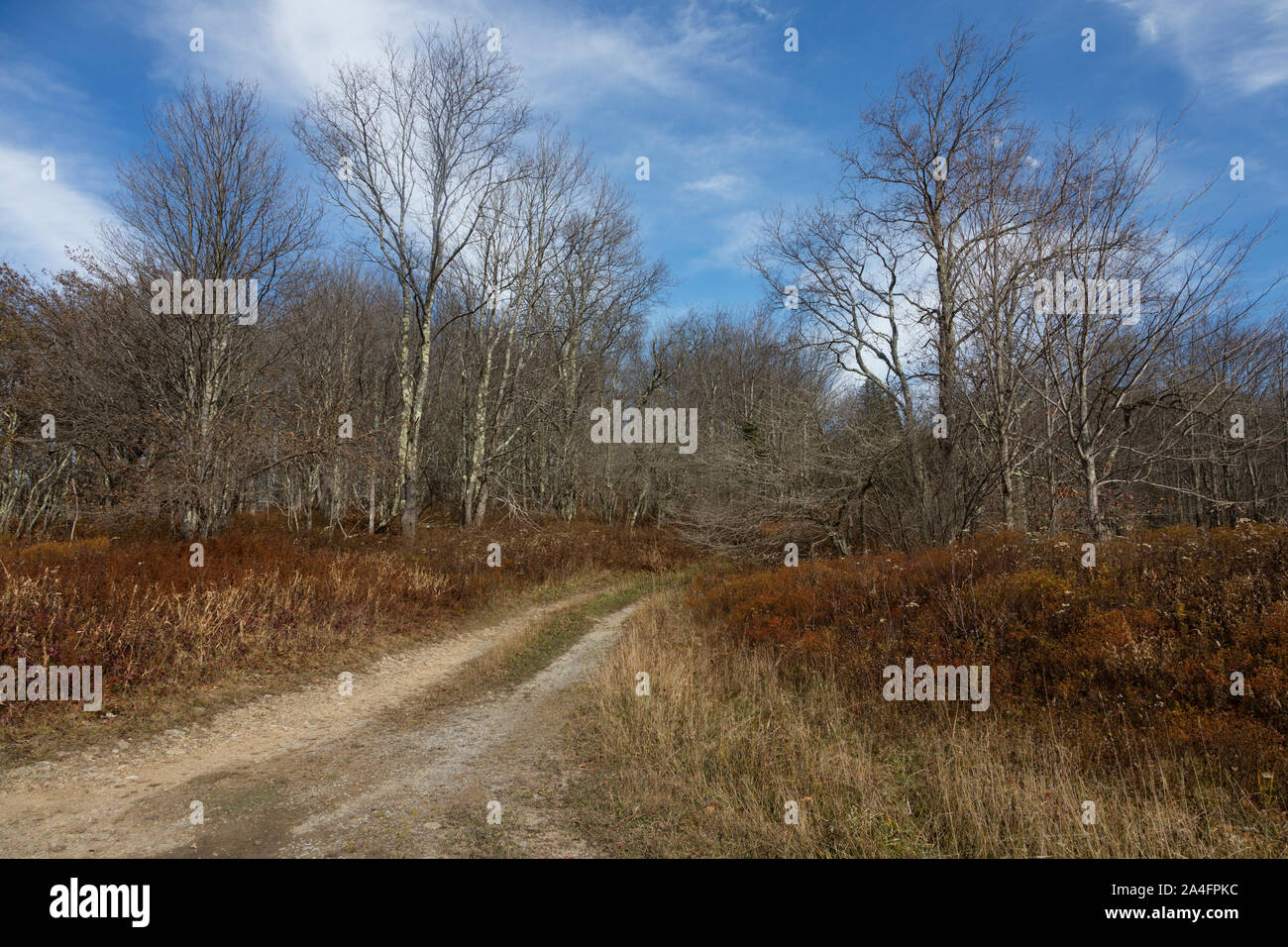 Trail at the site of the Cheat Summit Fort, atop Cheat Mountain in the ...