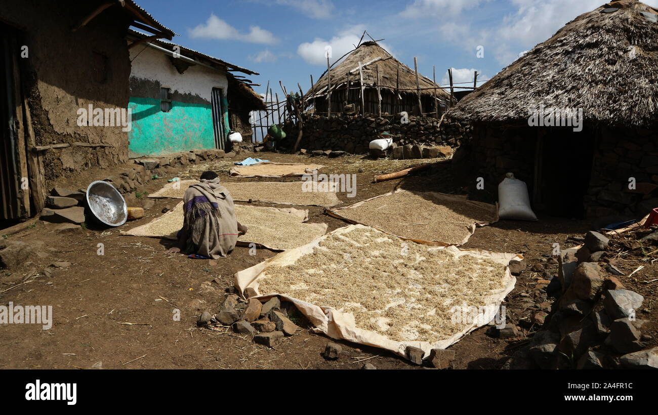 Drying grains and pulses in the sun hi-res stock photography and images ...