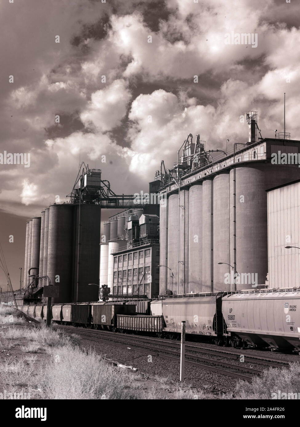 Train in front of a grain elevator in California Stock Photo - Alamy