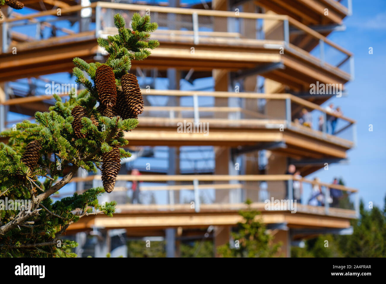 Canopy tower hi-res stock photography and images - Alamy