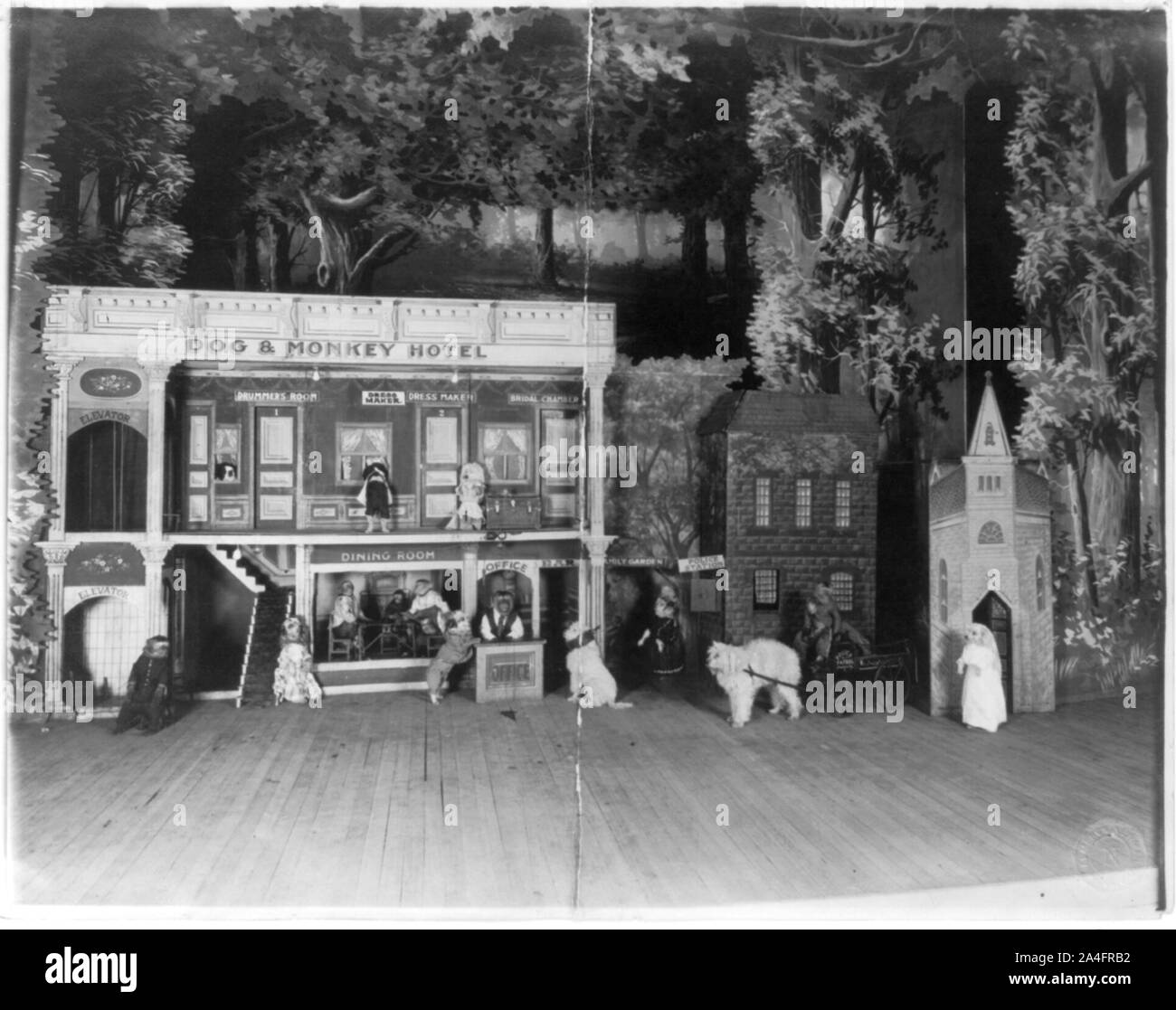 Trained service animals Black and White Stock Photos & Images - Alamy