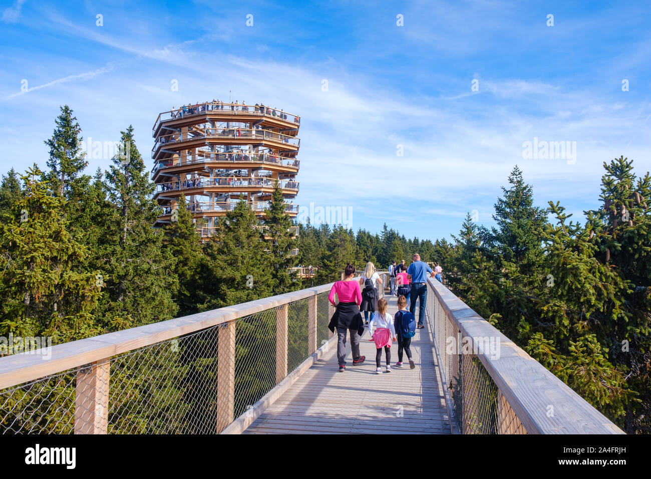 Canopy tower hi-res stock photography and images - Alamy