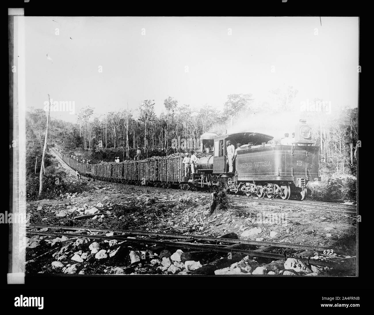 Trainload of sugar cane, Cuba Stock Photo - Alamy