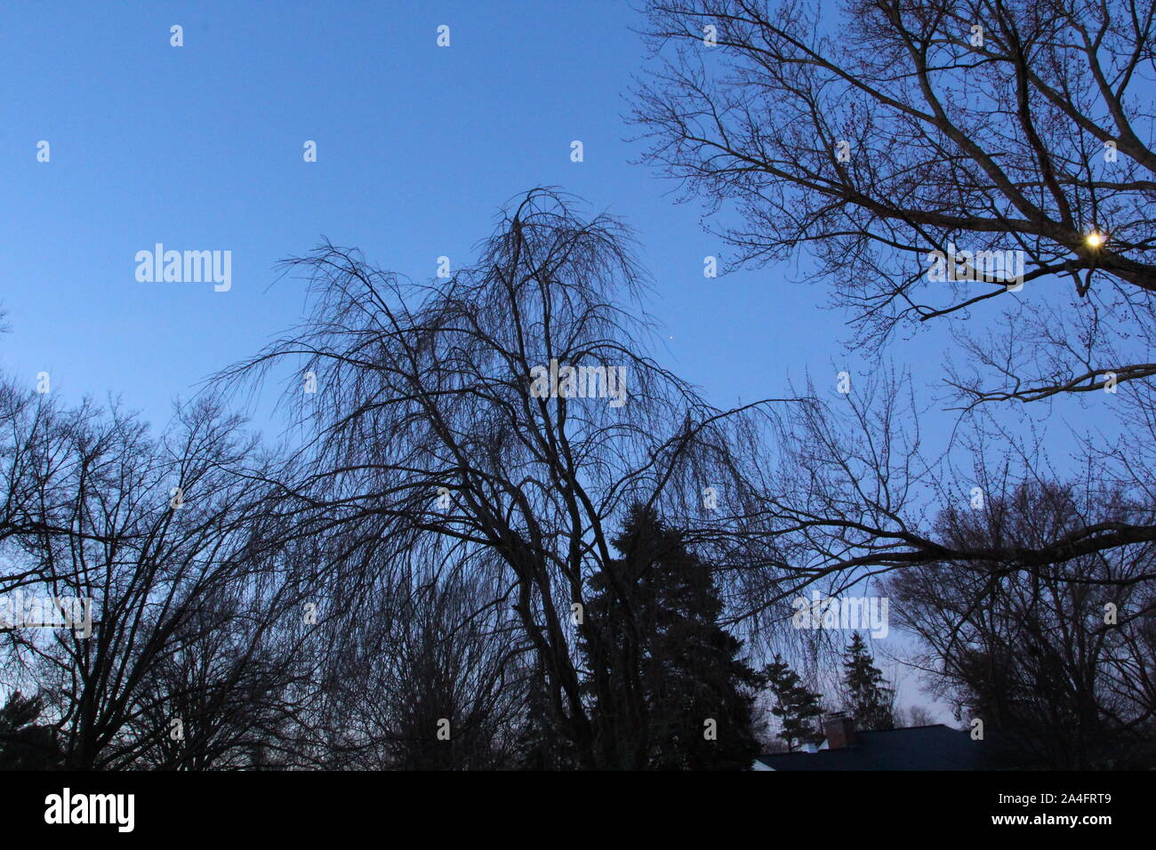 Winter Early Evening Stock Photo - Alamy