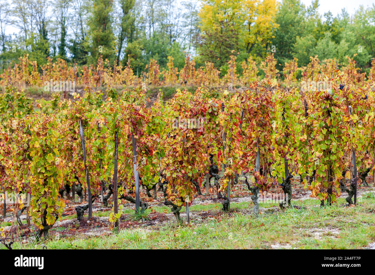Rhona france hi-res stock photography and images - Alamy
