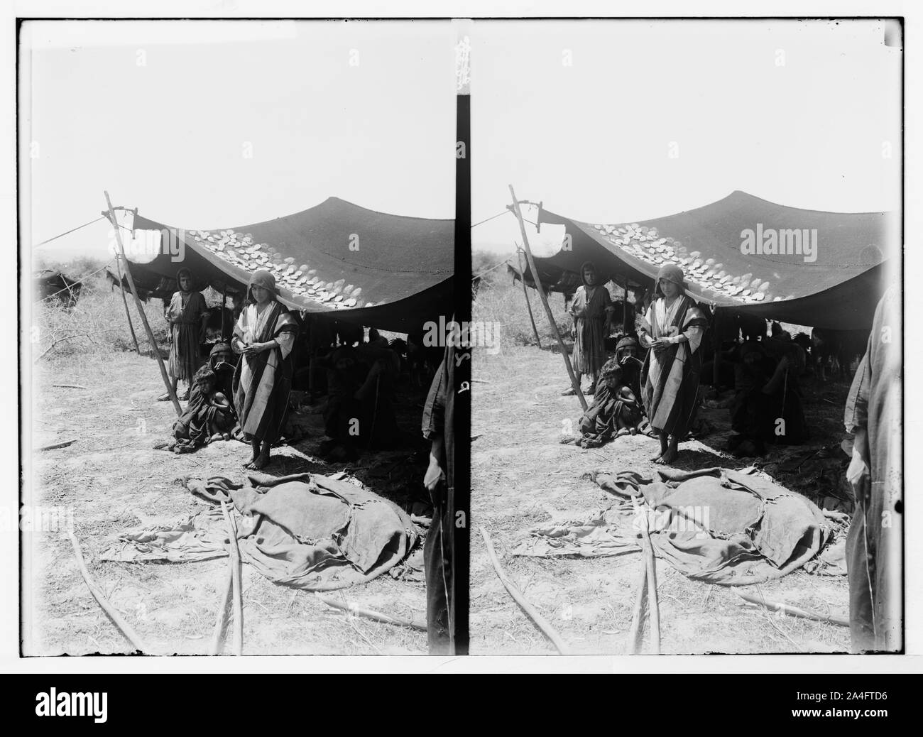 Trans-Jordan types. Bedouin tent. Drying cheeses on tent roof Stock ...