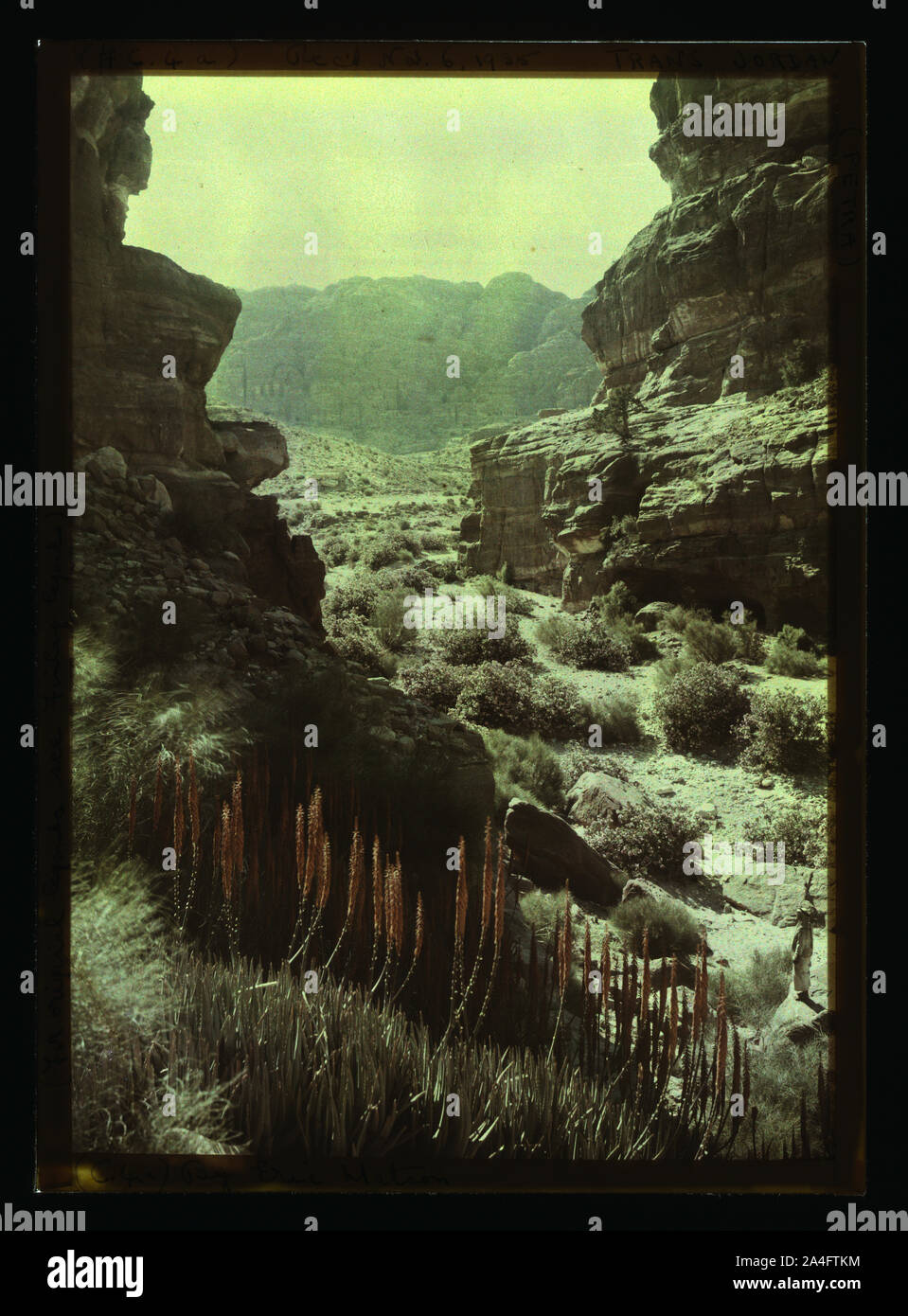 Transjordan hi-res stock photography and images - Alamy