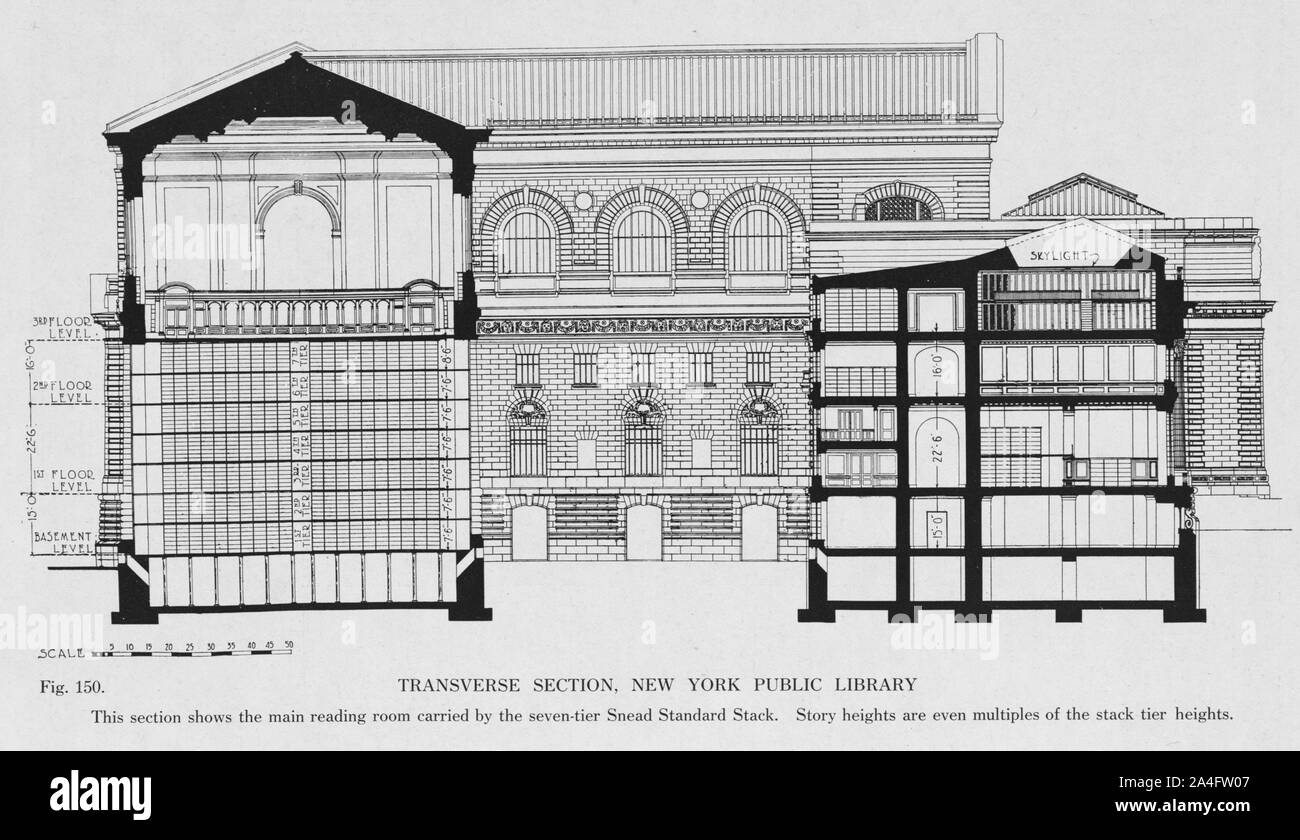 Transverse section Black and White Stock Photos & Images - Alamy