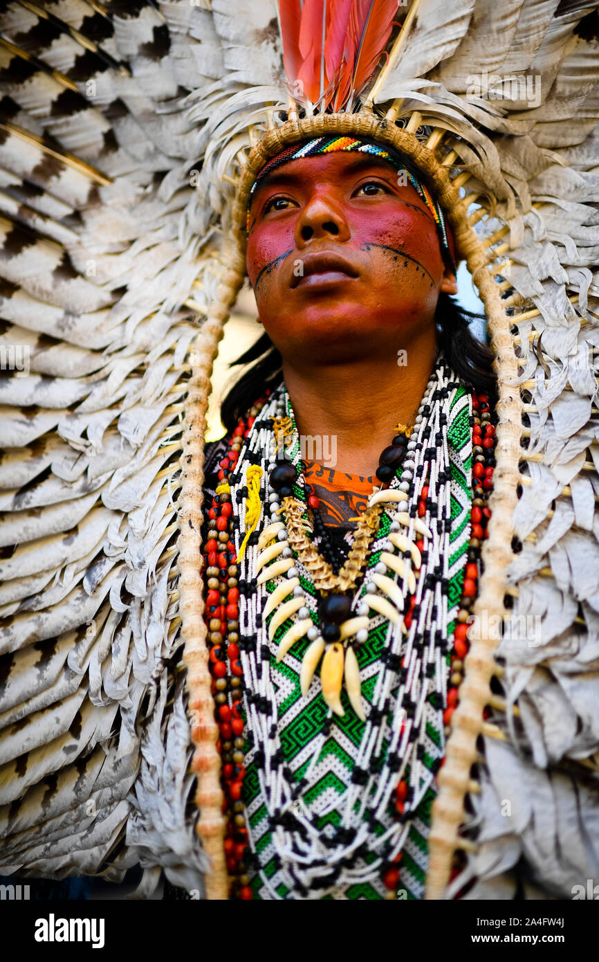 Brazilian indigenous activist hi-res stock photography and images - Alamy