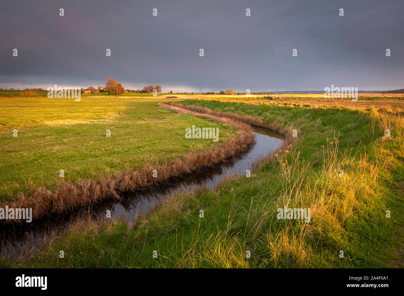 A bending waterway on Oare marshes; an important wetland reserve for ...