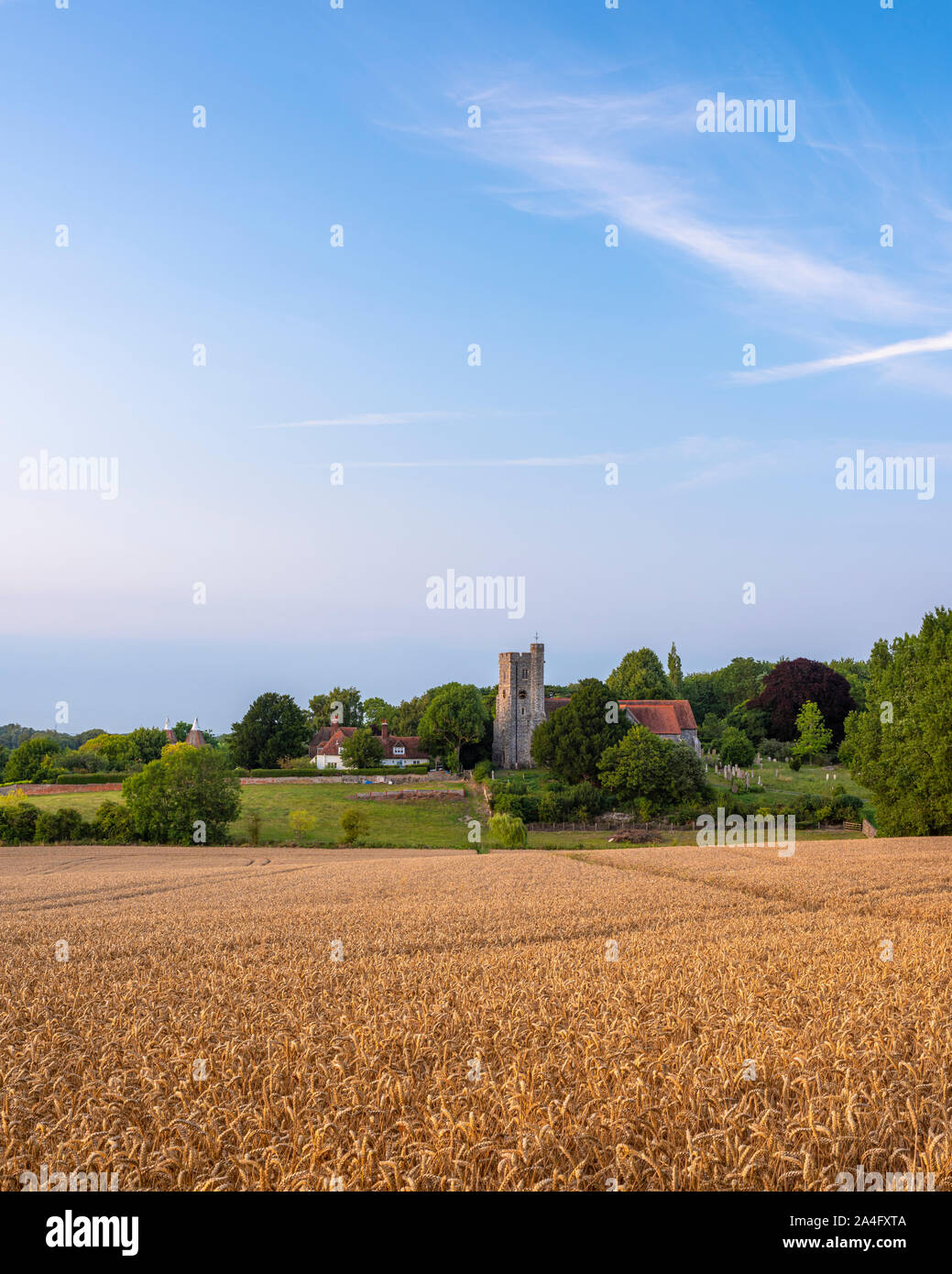 An English countryside scene during late Summer. Cornfields behind St ...