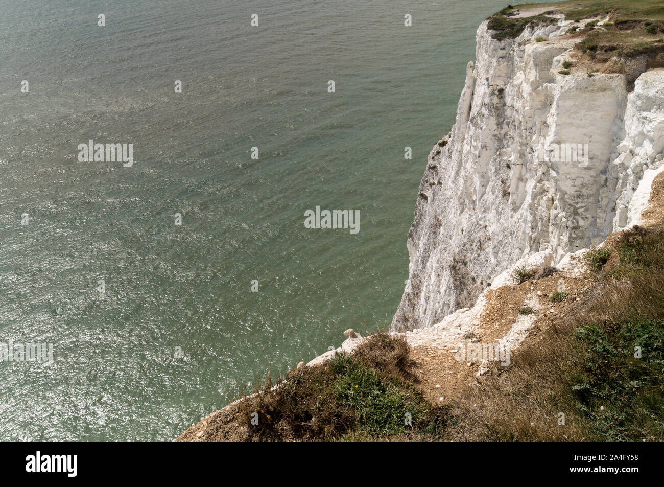 White cliffs seashore hi-res stock photography and images - Alamy