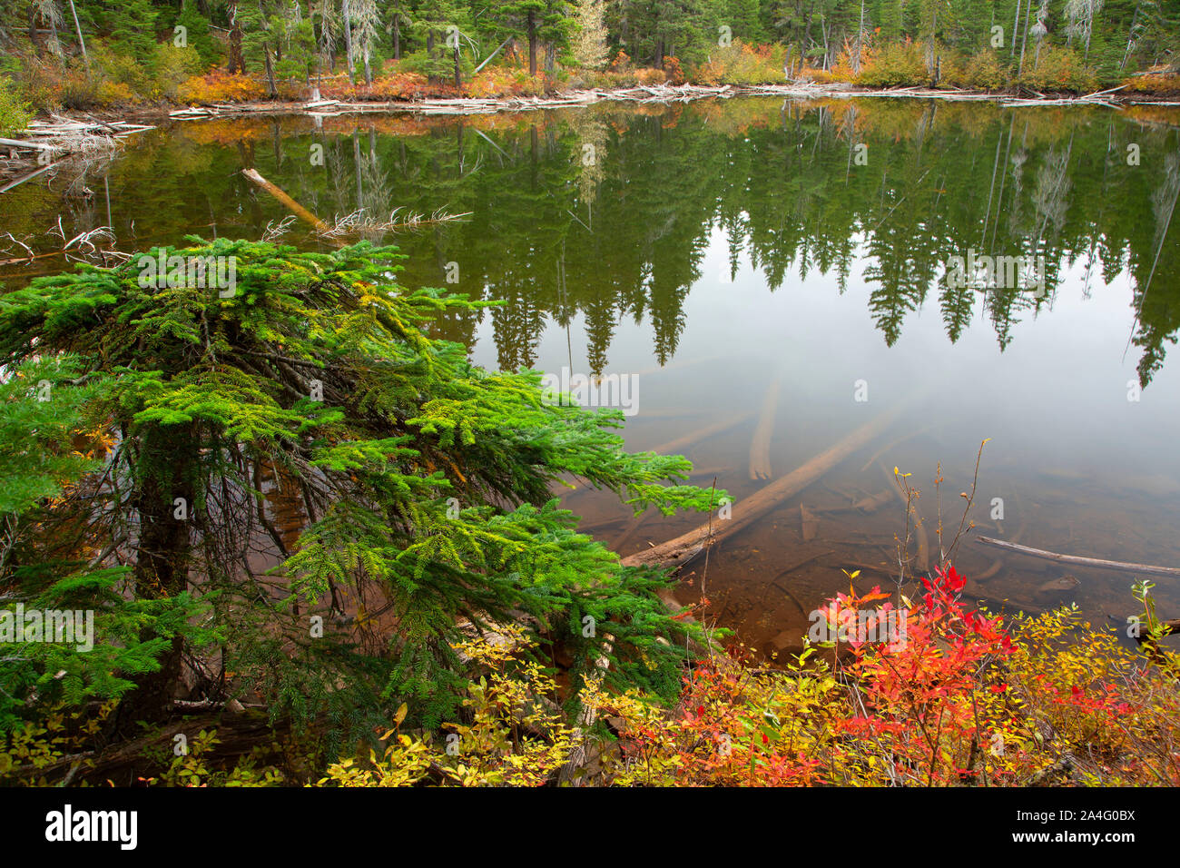 Brook Lake, Olallie Lake Scenic Area, Pacific Crest National Scenic ...
