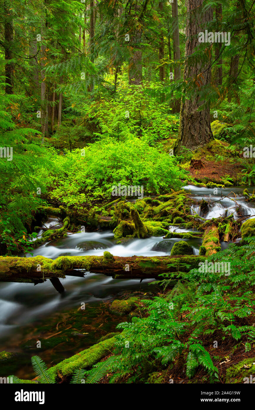 Drive growth hi-res stock photography and images - Alamy