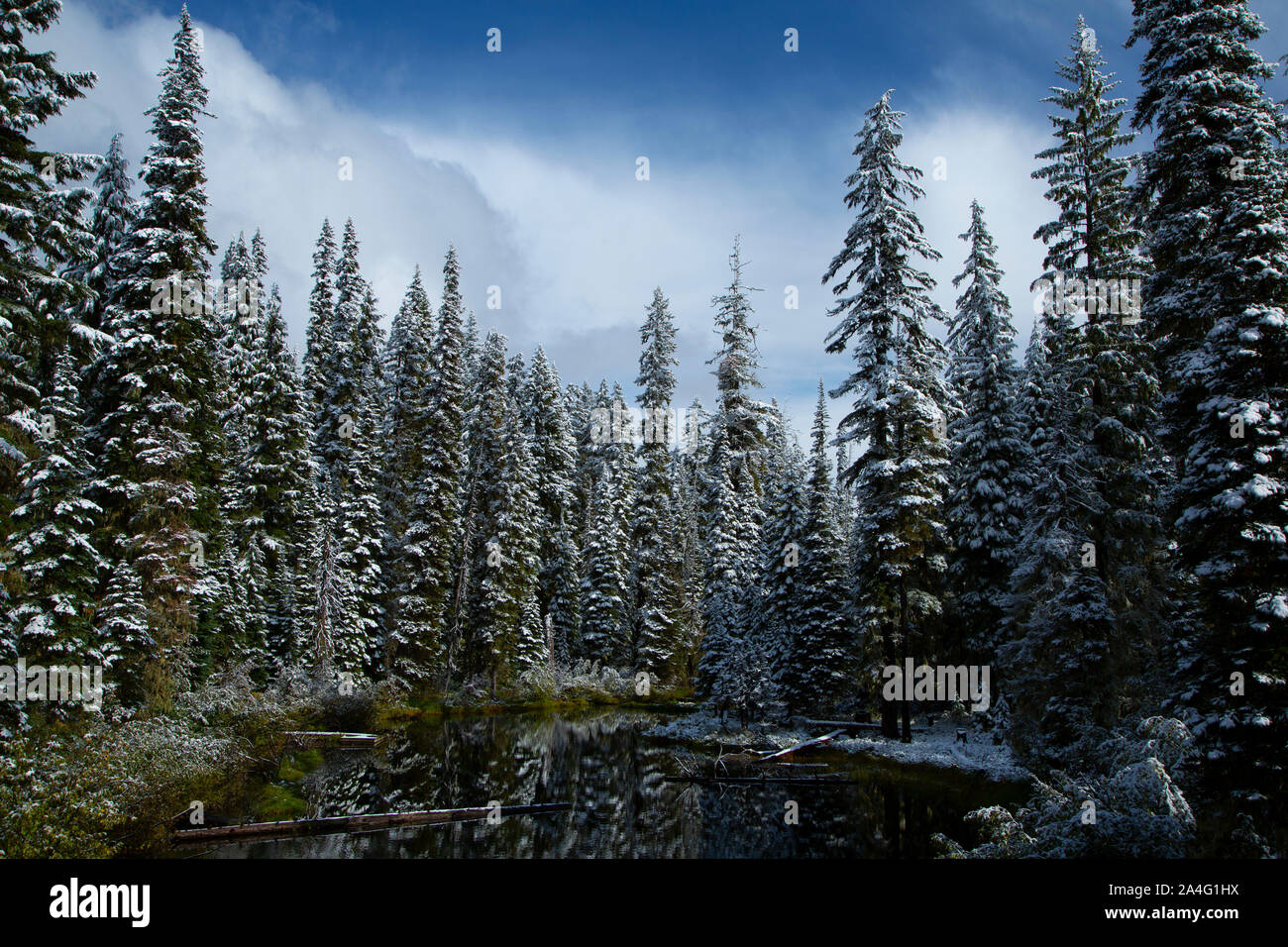 Gold creek campground hi-res stock photography and images - Alamy