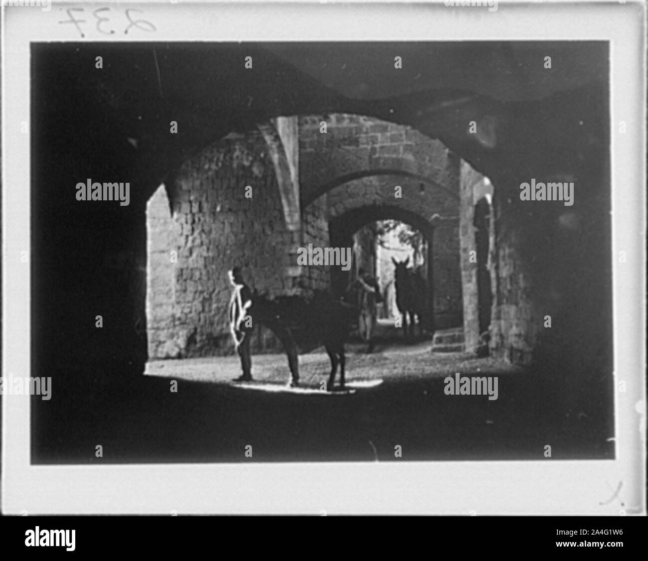 European nature record Black and White Stock Photos & Images - Alamy