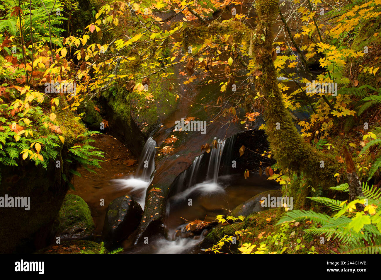 Vine brook hi-res stock photography and images - Alamy