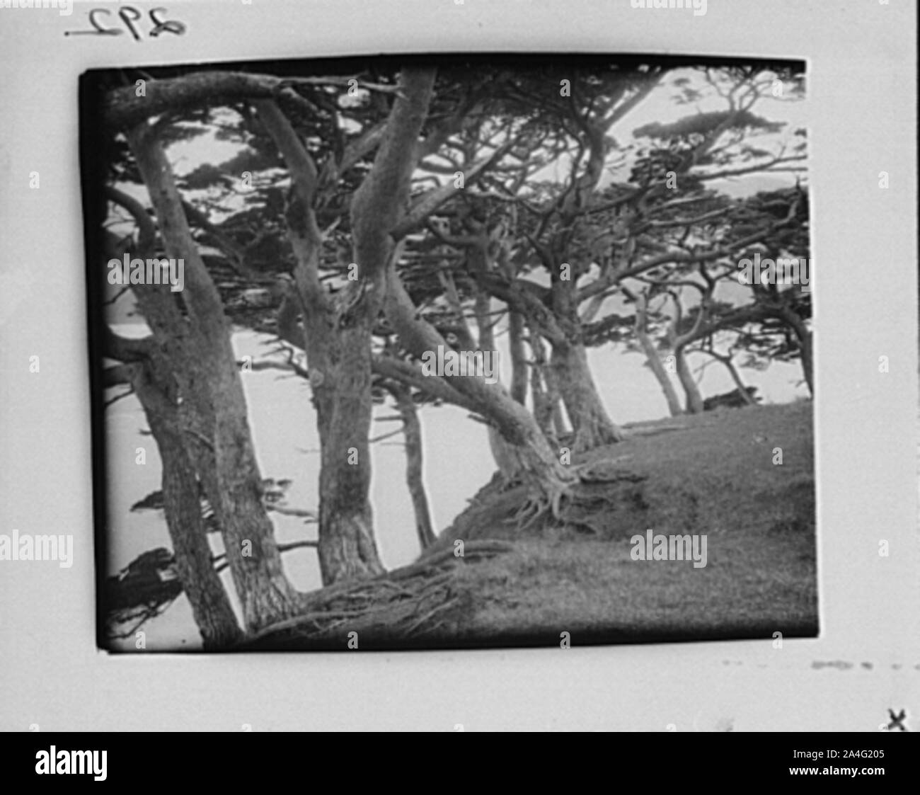 Japan markets Black and White Stock Photos & Images - Alamy