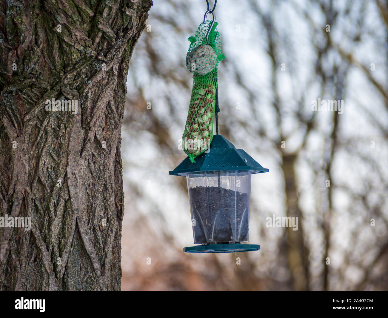 Birds food place Stock Photo - Alamy