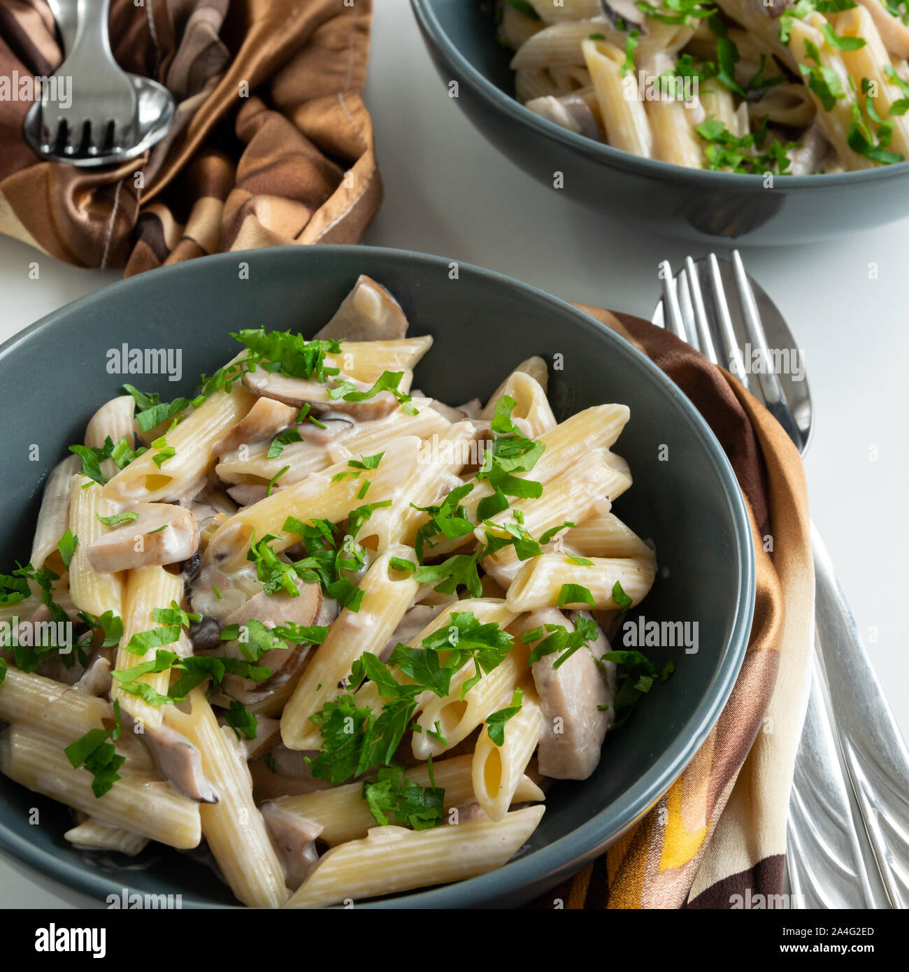Cooked cream pasta with porcini mushrooms (Boletus edible Stock Photo ...