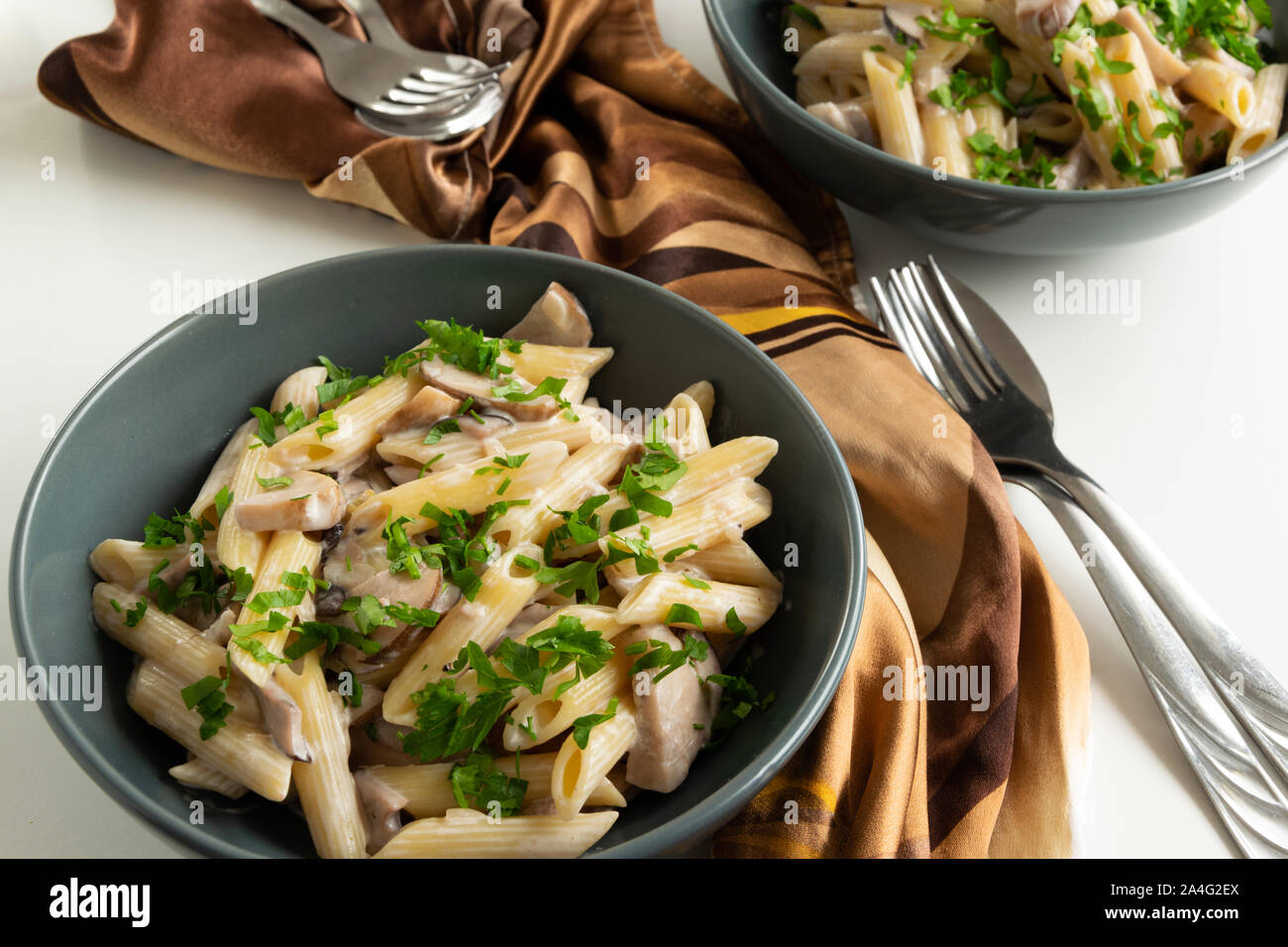Cooked cream pasta with porcini mushrooms (Boletus edible Stock Photo ...