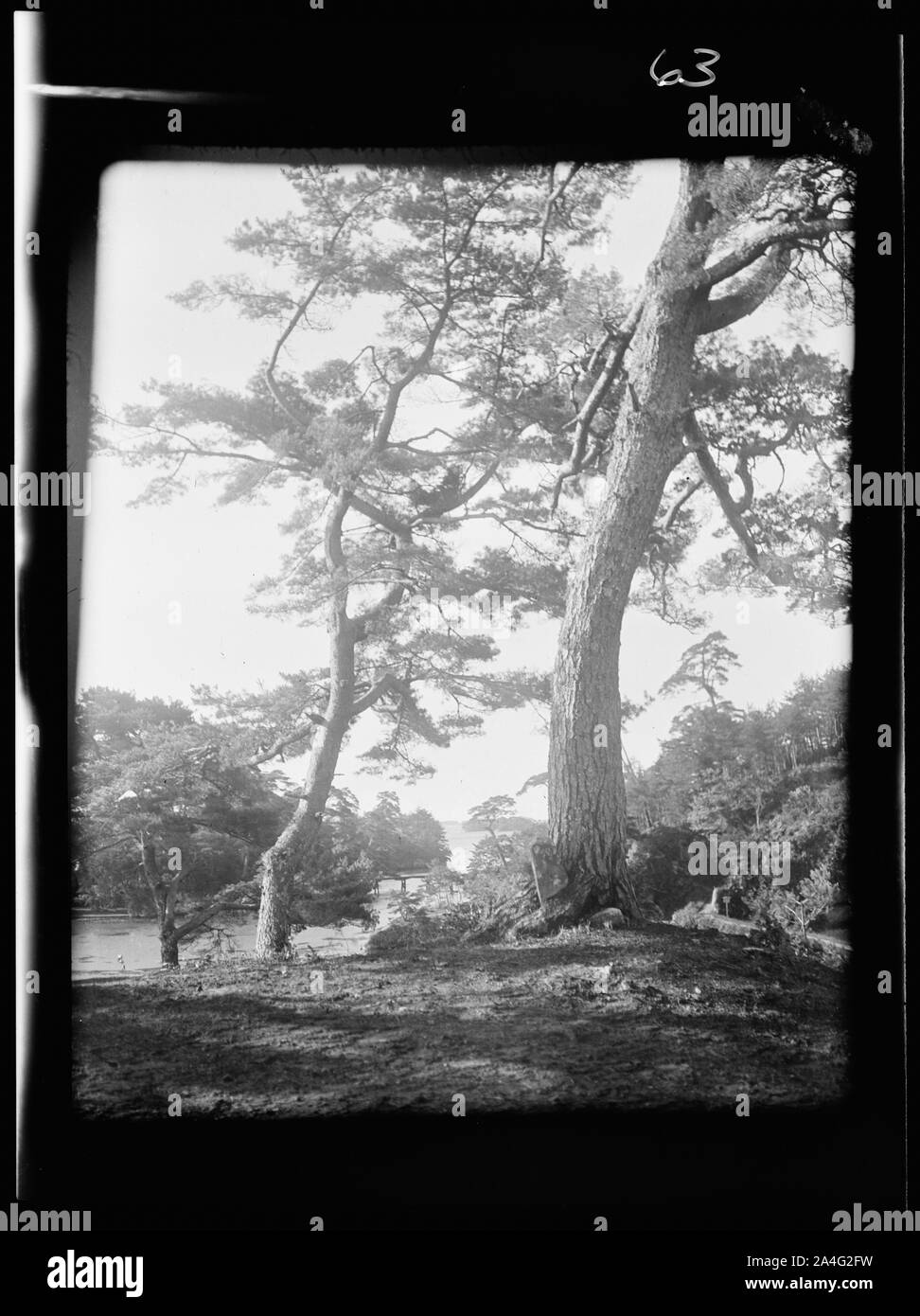 Festivals japan Black and White Stock Photos & Images - Alamy