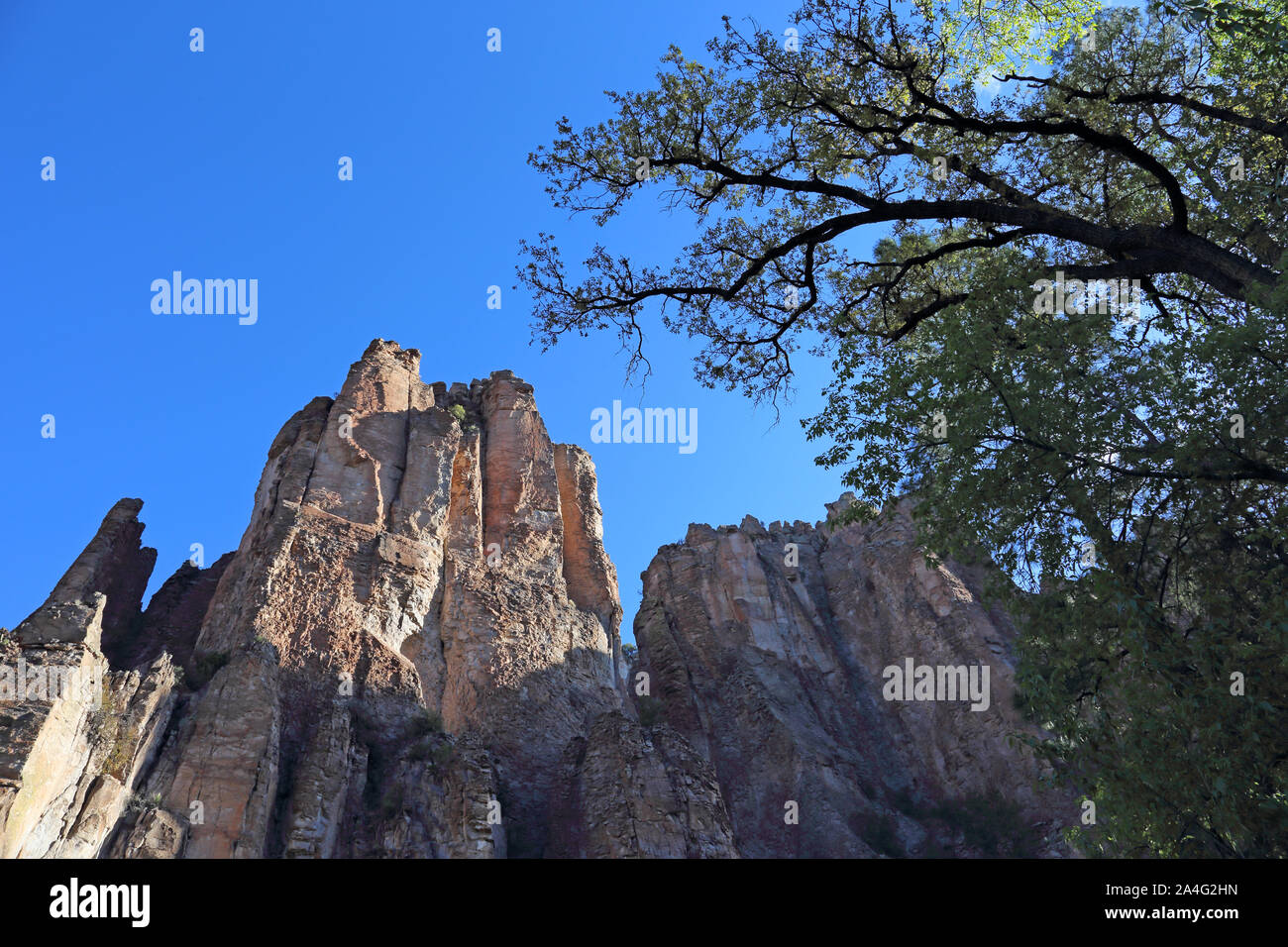 The Little Bear canyon walls above Middle Fork Gila River, in the Gila ...