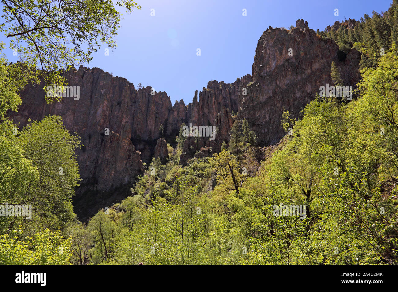The Little Bear canyon walls above Middle Fork Gila River, in the Gila ...