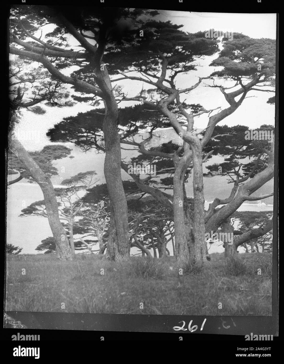 Rural japan life Black and White Stock Photos & Images - Alamy