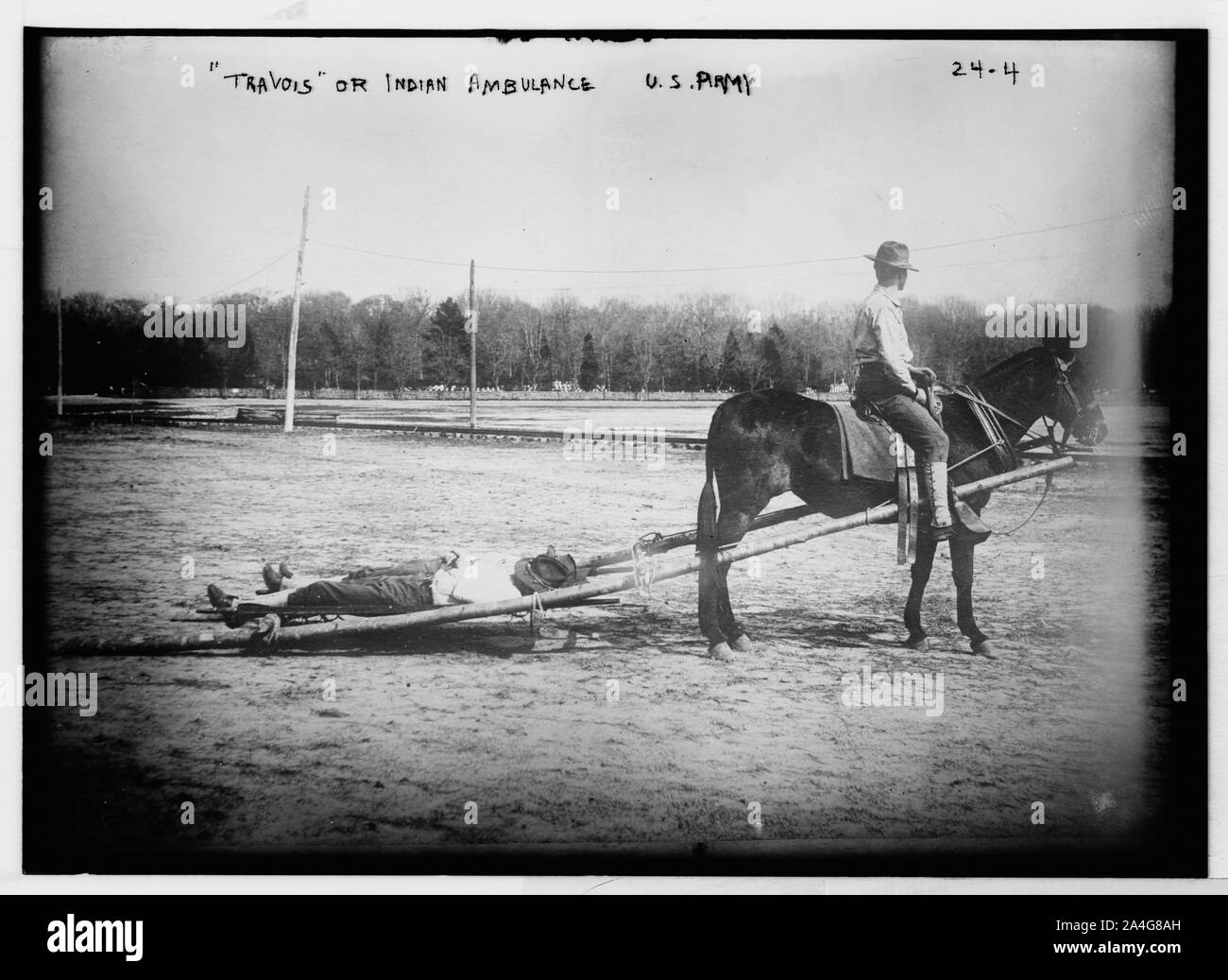 A Dog And Horse Travois With Cheyenne