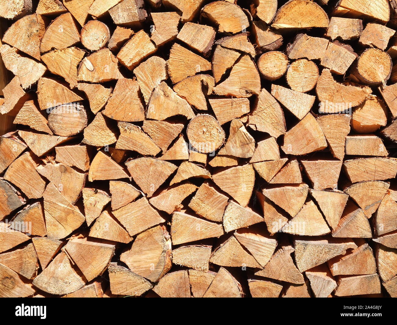 Fresh cut timber logs piled up in even rows, background Germany 2019 ...