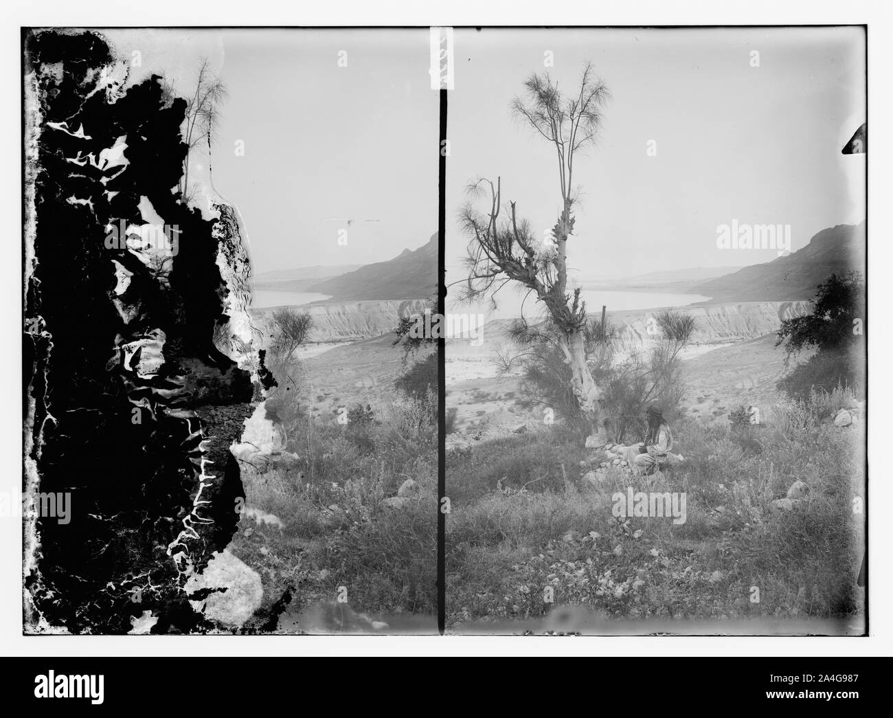 Body tree Black and White Stock Photos & Images - Alamy