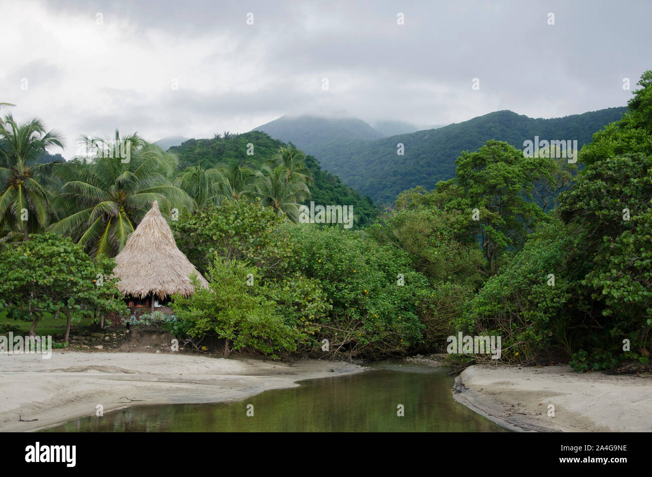 In the foreground, a small watercourse that emerges from the vegetation ...