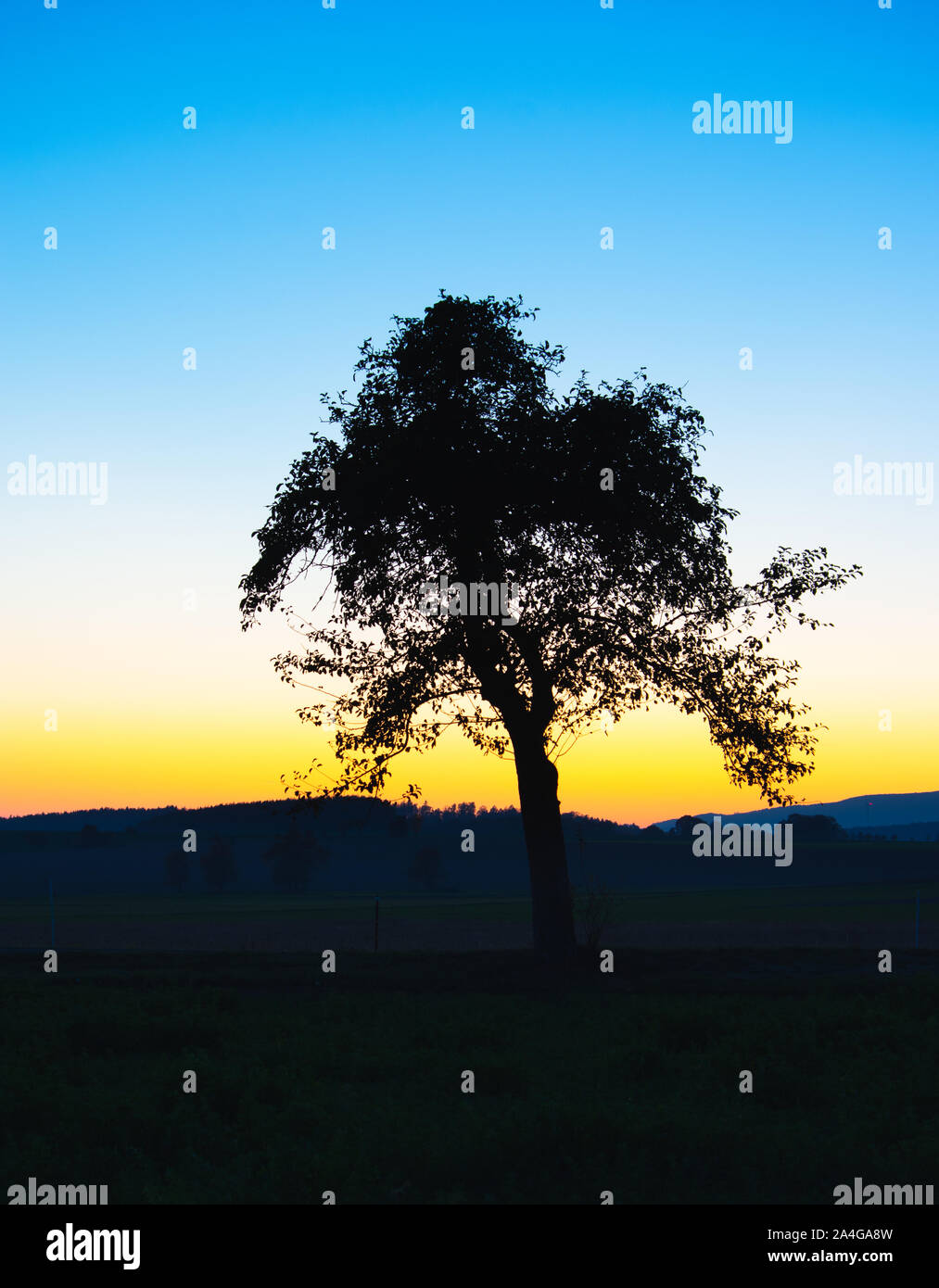 Clear silhouette hi-res stock photography and images - Alamy
