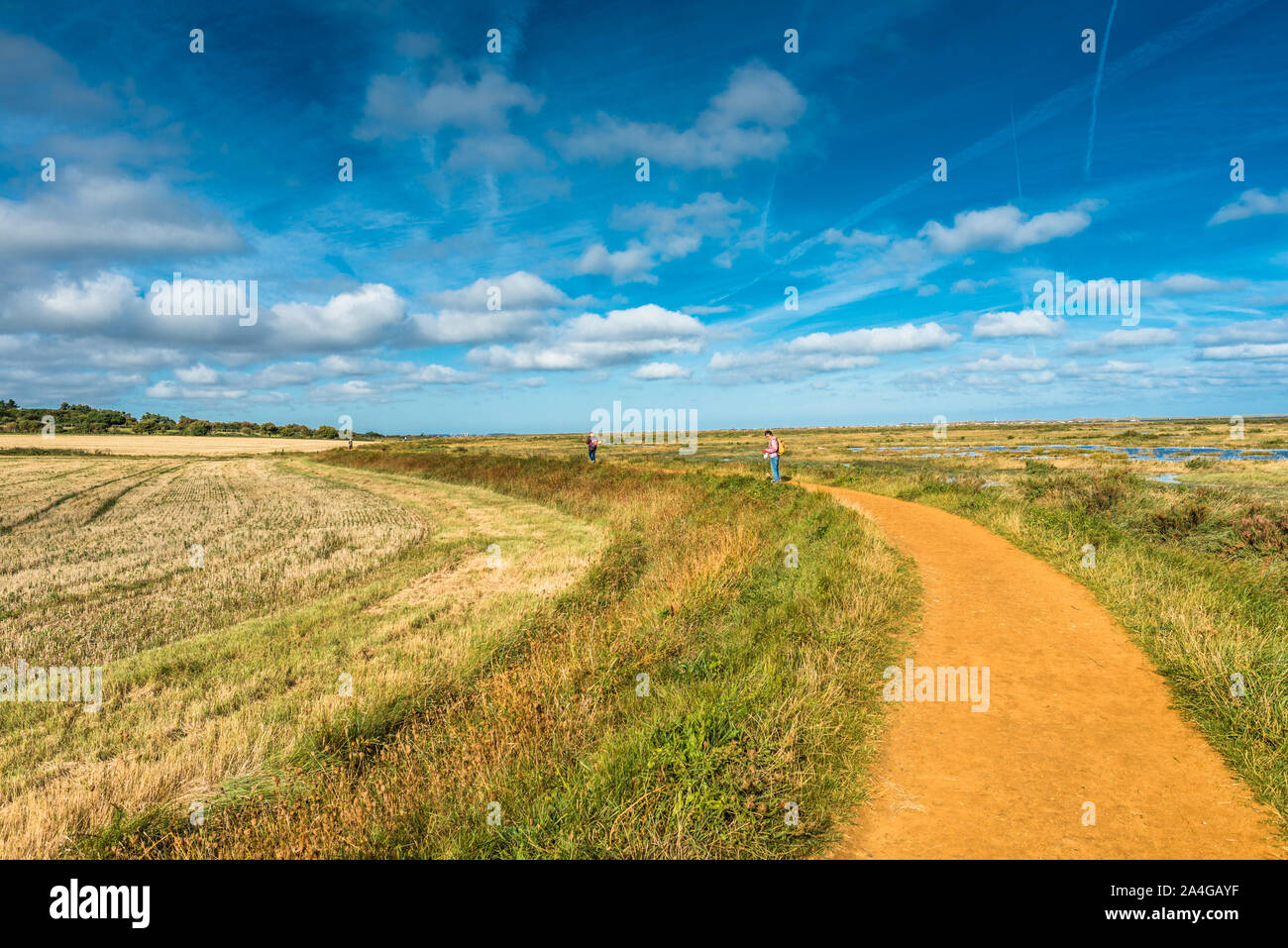 Salt marshes trail hi-res stock photography and images - Alamy