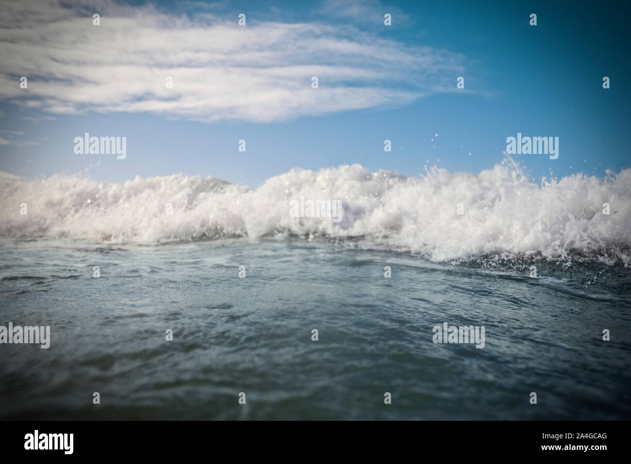 Wave breaking in the ocean Stock Photo - Alamy