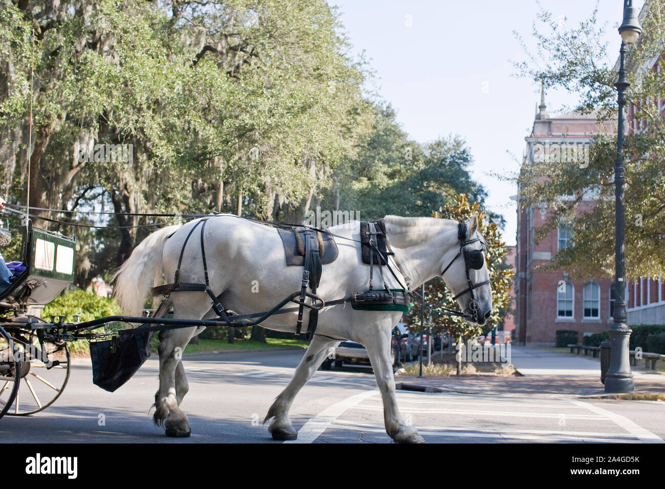 Carriage crossing hi-res stock photography and images - Alamy