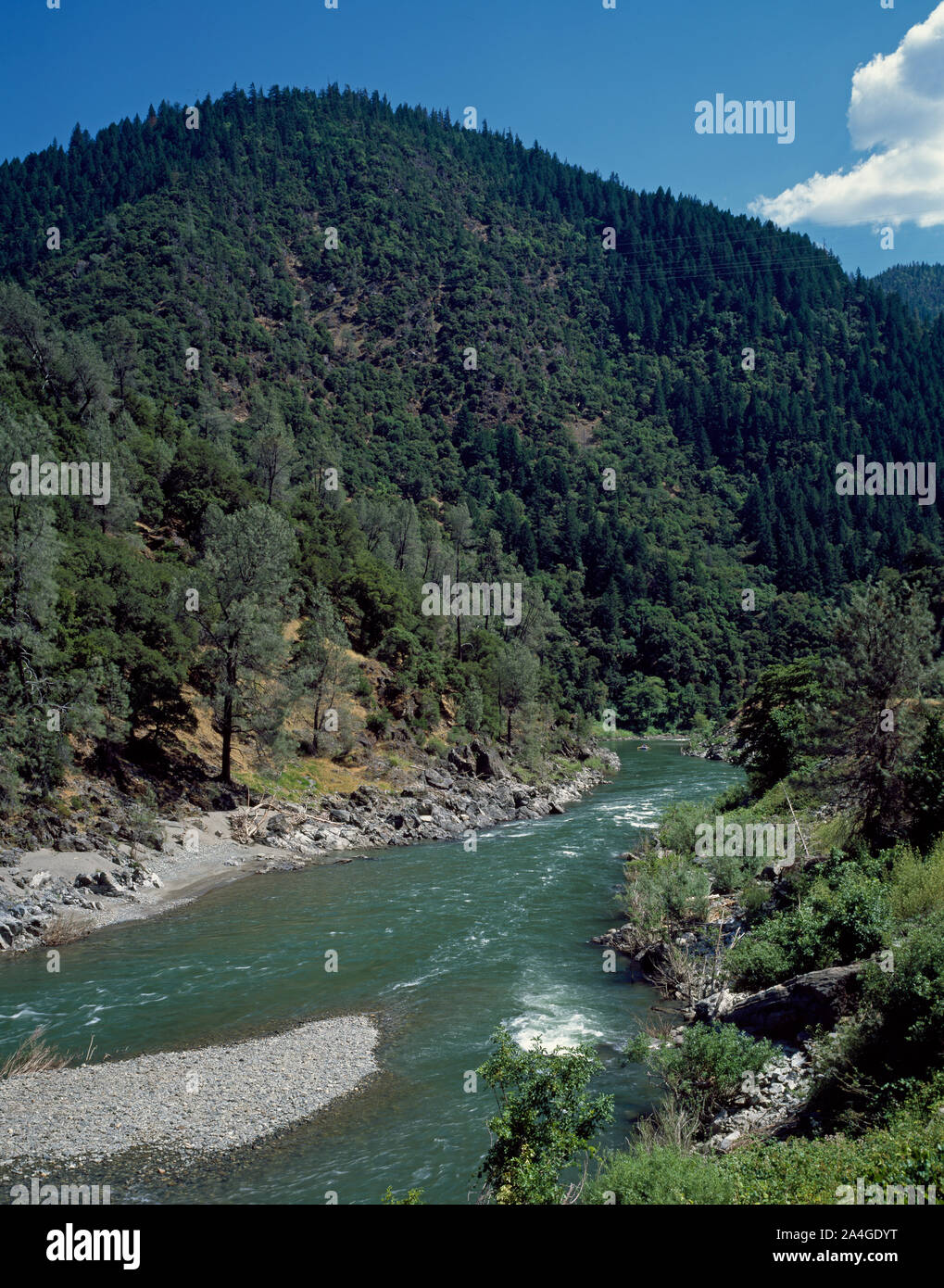 Trout stream deep in the Cascade Mountains, Washington Stock Photo - Alamy
