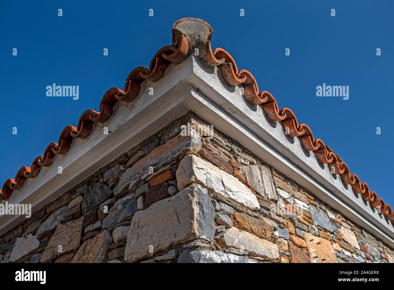 Domatia hi-res stock photography and images - Alamy